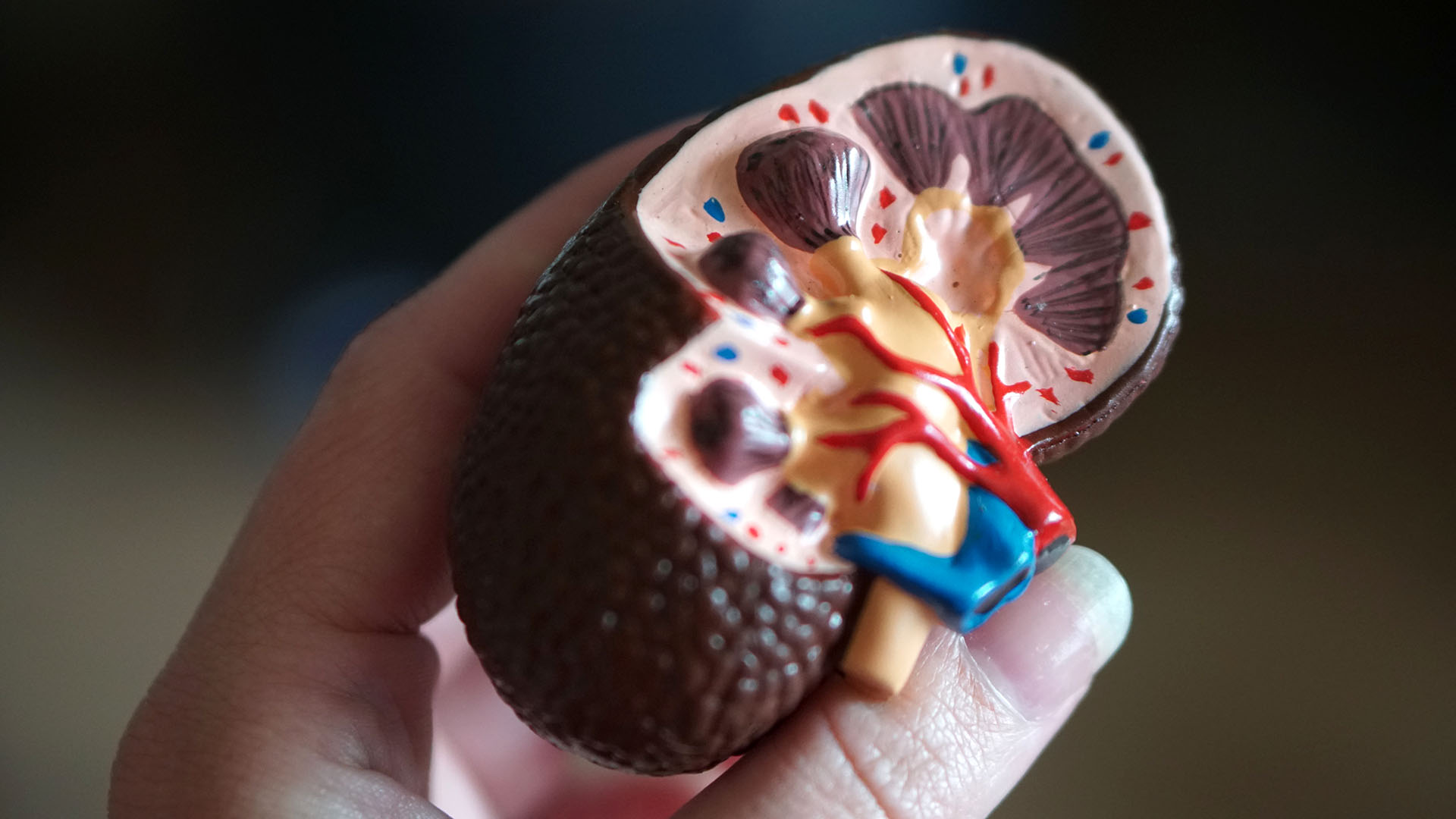Precision medicine with new drugs that stop fibrosis