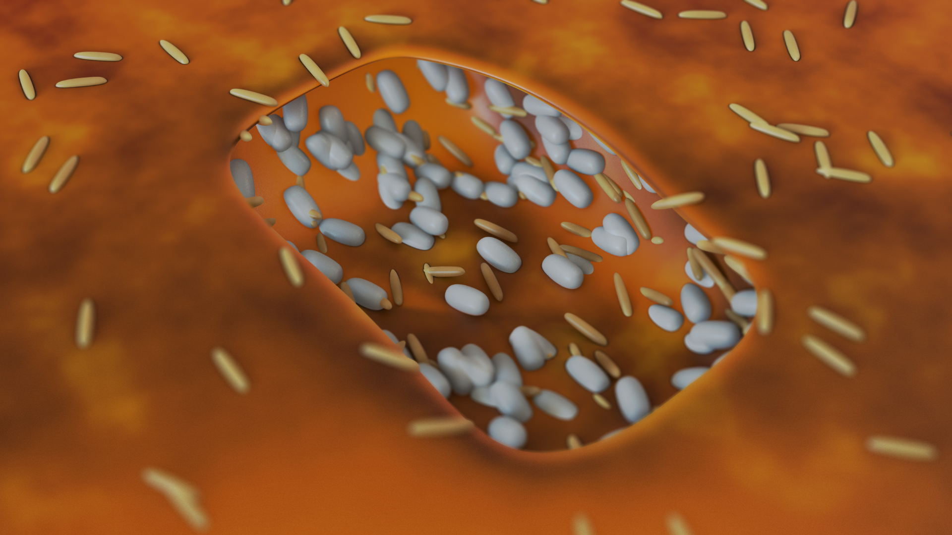 Effector-Effector Interplay and Coxiella Pathogenesis