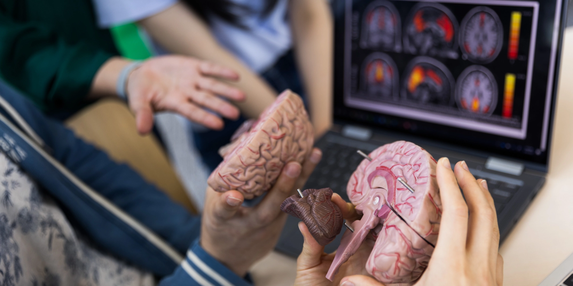 Breakthrough in understanding the link between brain and heart health