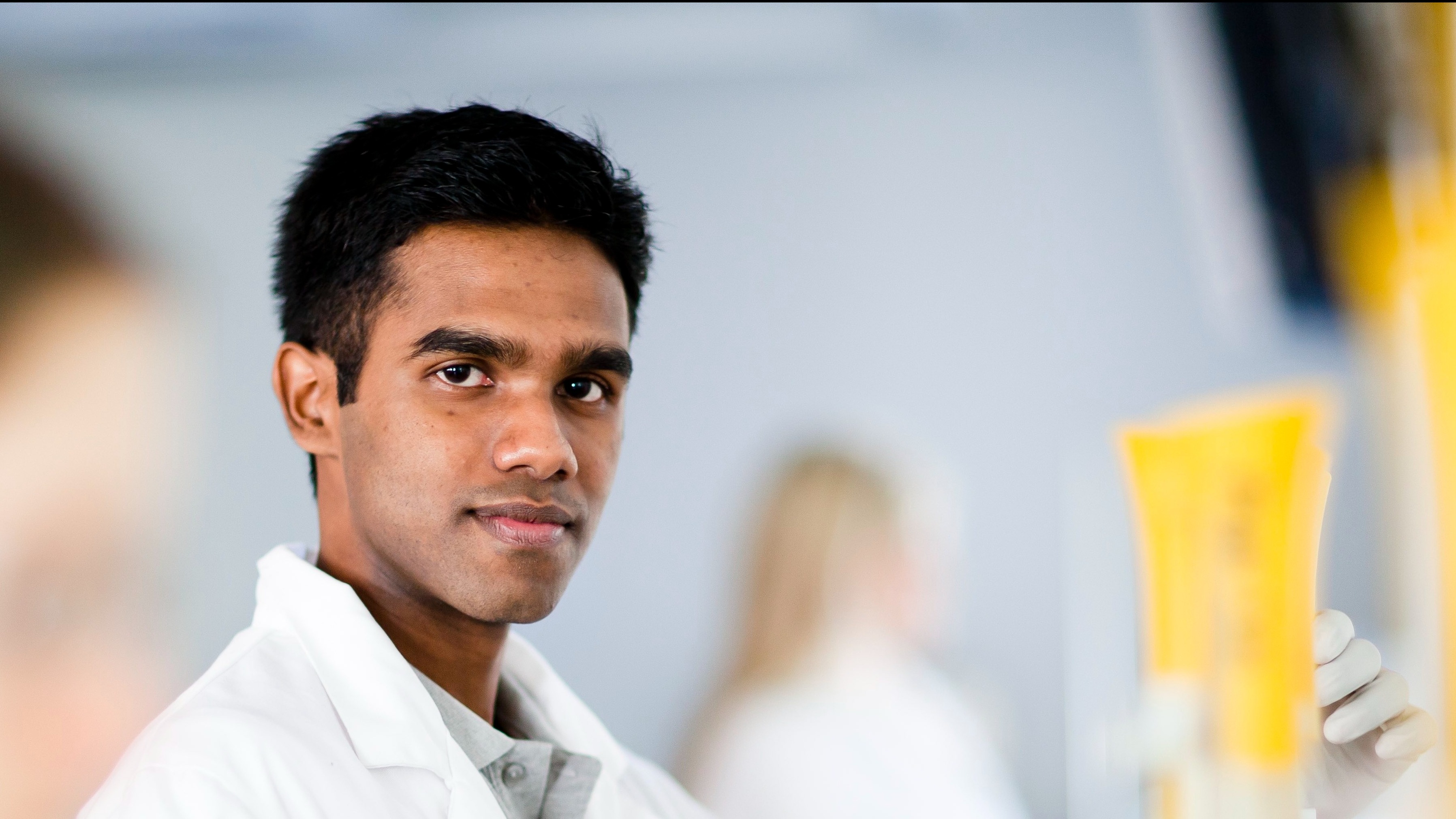 Our IP Principles Business And Investors Research